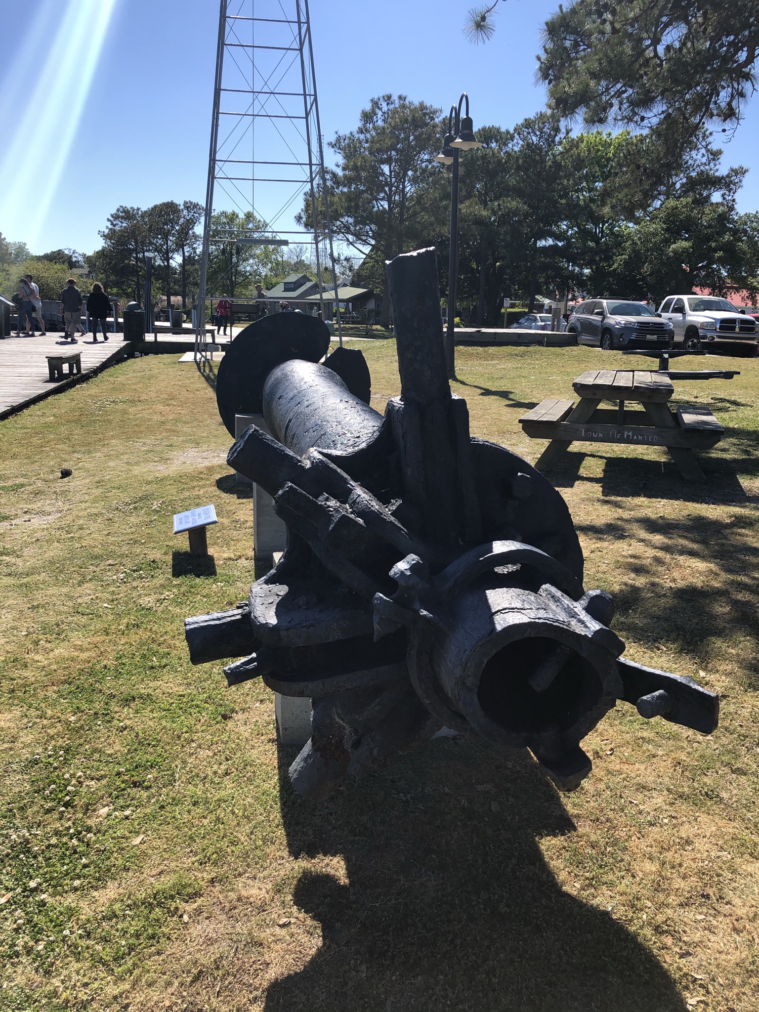 Shooting Alligators - My Single Lens Life