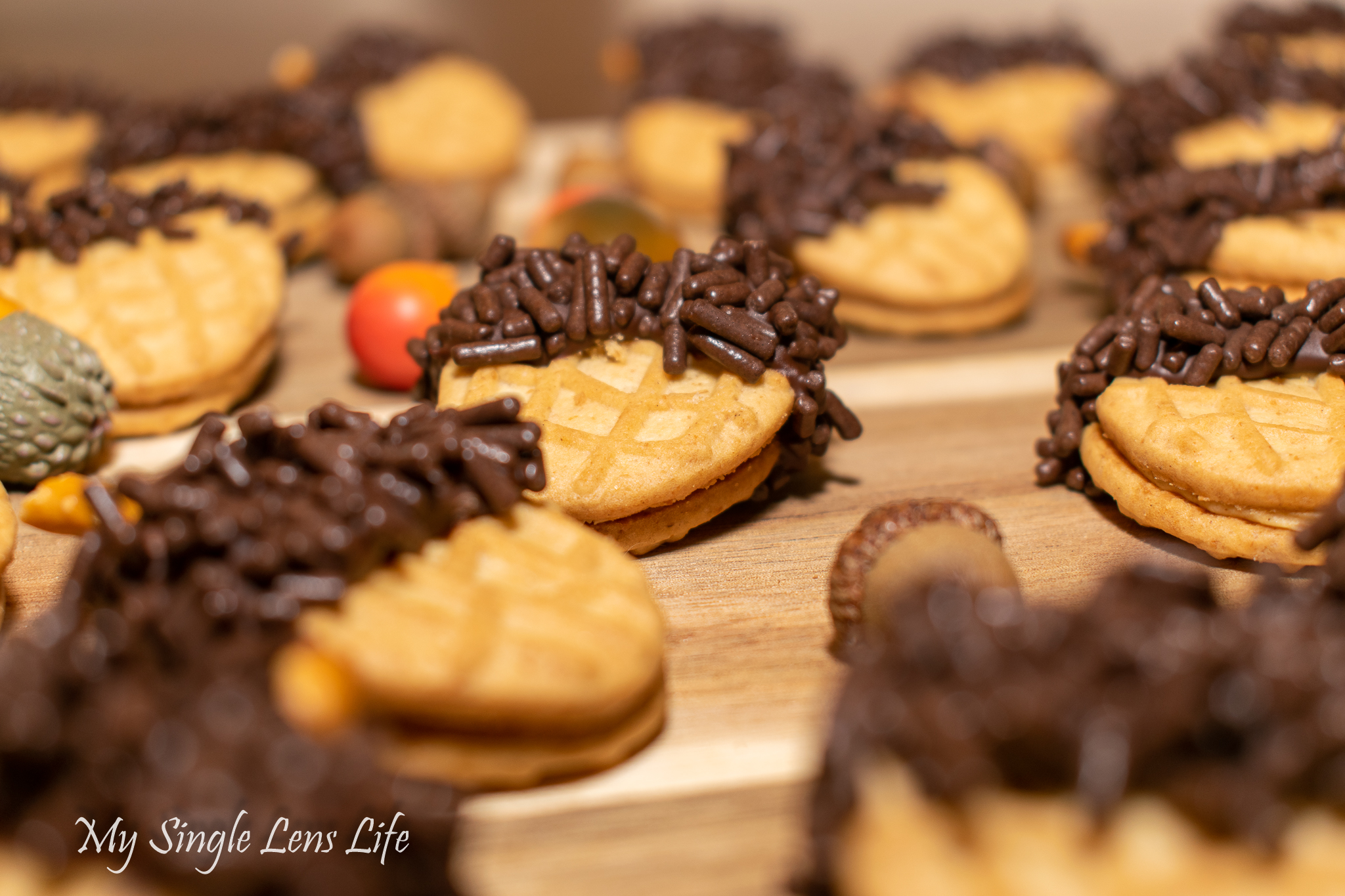 Acorn Cookies - My Single Lens Life